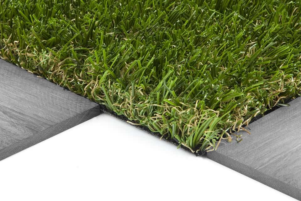 Grass Types - Evergreen Grass